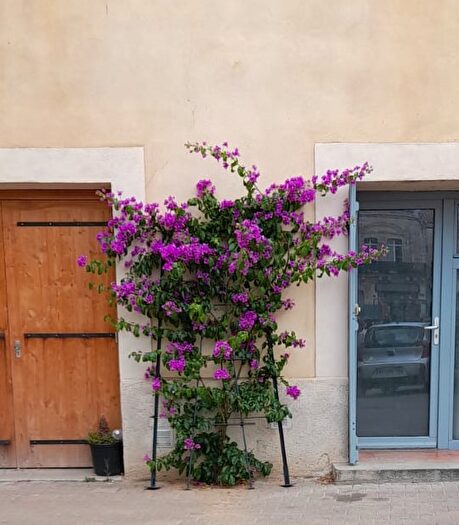 Appartement 1 pièce à louer à Villeneuve-lès-Maguelone