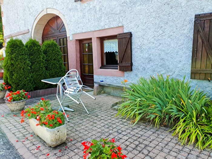 Maison 12 pièces à Docelles, à vendre