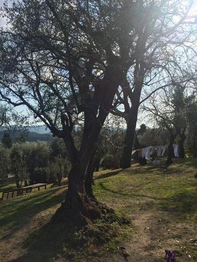 Saint Francois, Grasse : Maison 5 pièces à louer