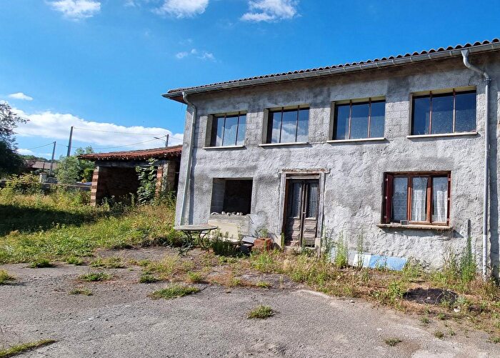 Maison à vendre - Villeneuve-de-Rivière - 4 pièces