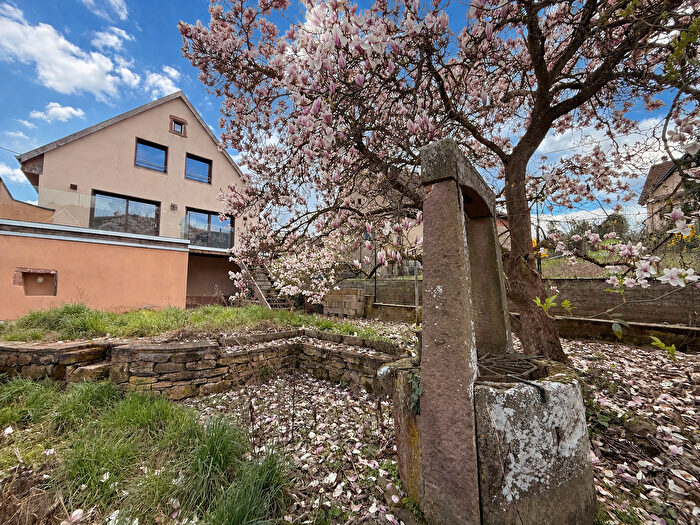 Maison à vendre - Niedermorschwihr - 7 pièces - 3 chambres