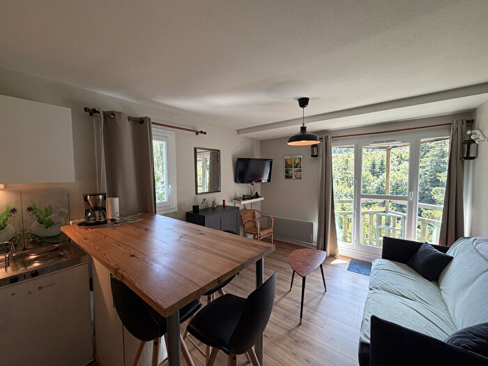 Laveissière : Appartement 1 pièce à vendre