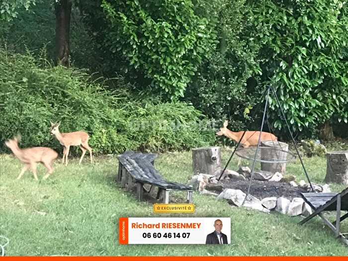 Maison à vendre - Saint-Chéron - 3 pièces - 2 chambres