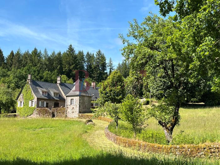 Maison 15 pièces à vendre - Marcillac-la-Croisille