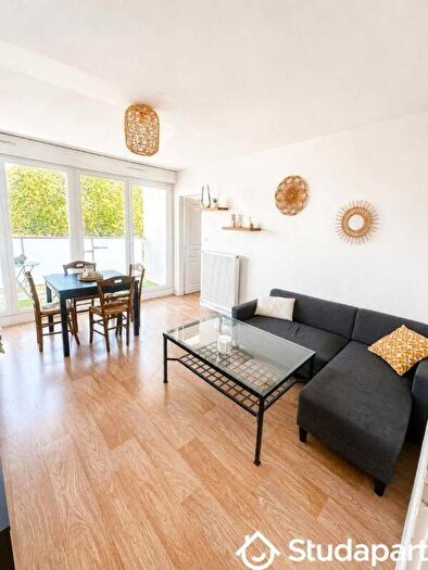 Activités, Orléans - Appartement 1 pièce à louer