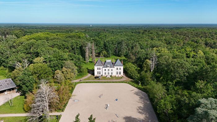 Maison 13 pièces à vendre - Theillay