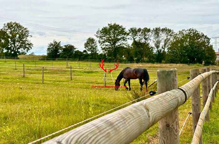 Maison à vendre - Villefranche-sur-Saône - 15 pièces - 9 chambres