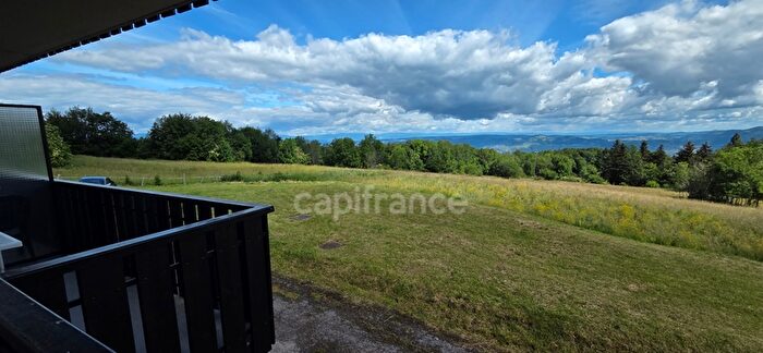 Thollon-les-Mémises : Appartement 3 pièces à vendre