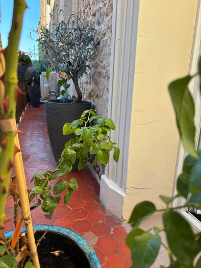 Appartement 2 pièces à Draguignan, Centre-ville historique, à vendre