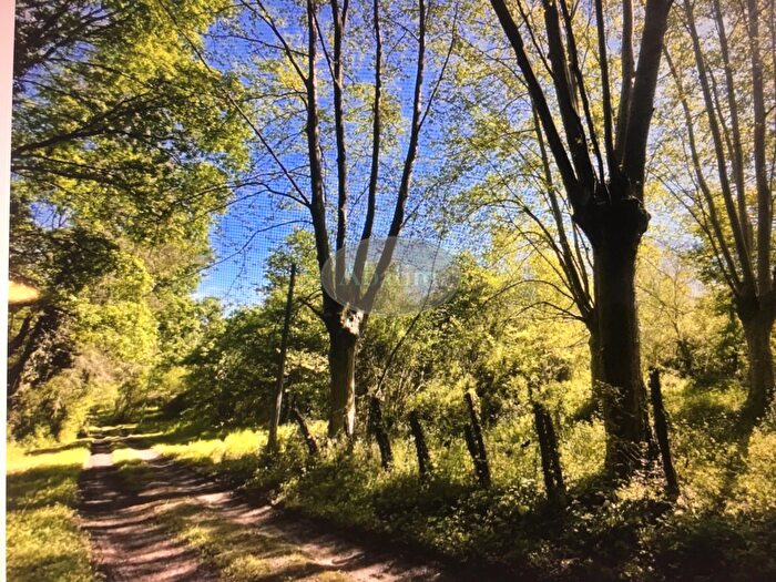 Maison à vendre - Saint-Palais - 7 pièces - 4 chambres