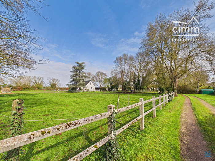 Maison à vendre - Neuillé - 6 pièces - 4 chambres