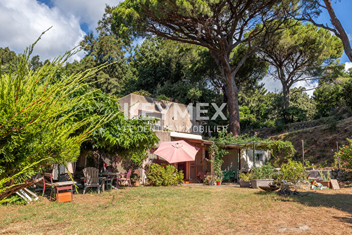 Maison à vendre - Brando - 6 pièces - 4 chambres