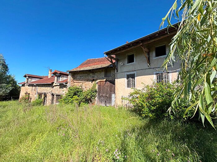 La Chapelle-du-Mont-de-France : Maison 9 pièces à vendre