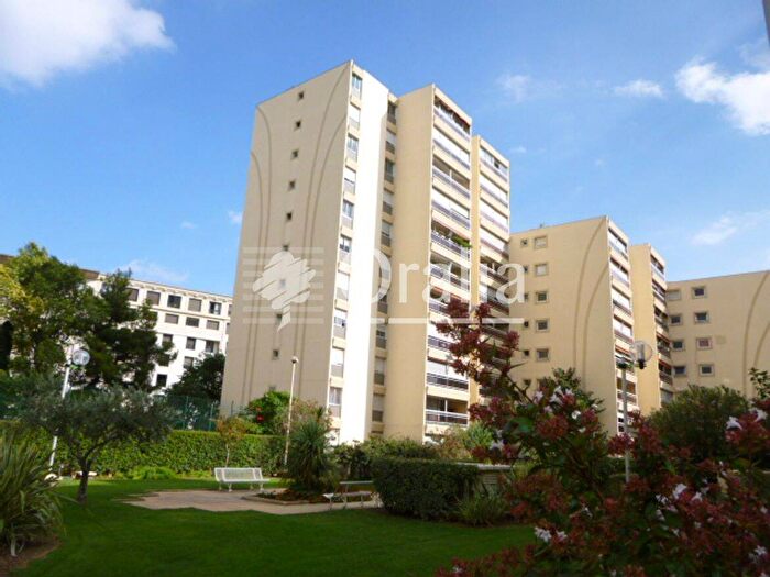 Appartement 1 pièce à louer à Antigone, Montpellier