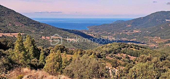 Maison à vendre - Fozzano - 4 pièces - 3 chambres