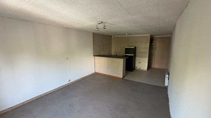 Appartement 1 pièce à Villejuif, Zola, Lion d'Or, à vendre