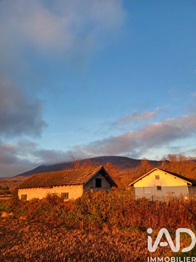 Maison à vendre - Briord - 5 pièces - 3 chambres