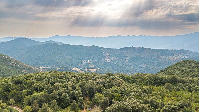 Maison à vendre - Cognocoli-Monticchi - 7 pièces - 4 chambres