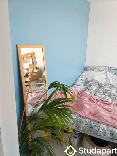 Appartement 1 pièce à louer - Centre, Angers