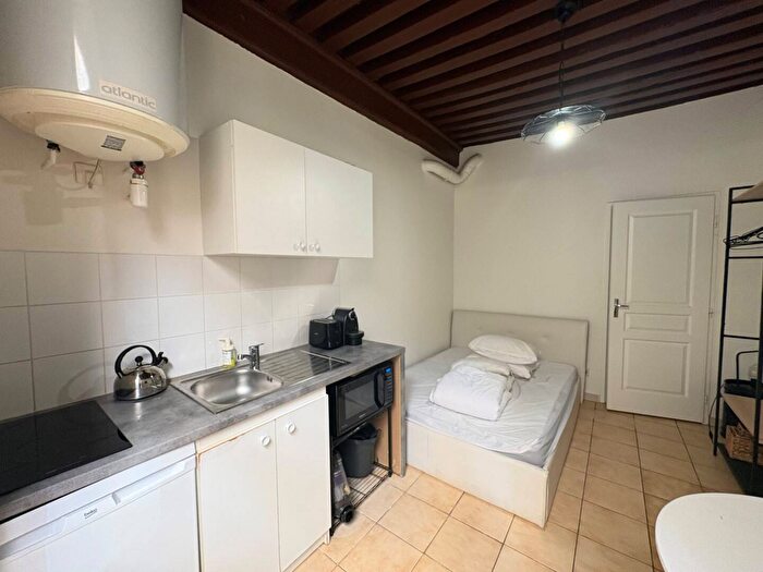 Appartement à louer - Pentes de la croix-rousse, Lyon er arrondissement - 1 pièce