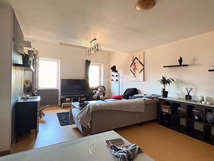 Gaillac, Centre-ville, Hom - Appartement 3 pièces à louer