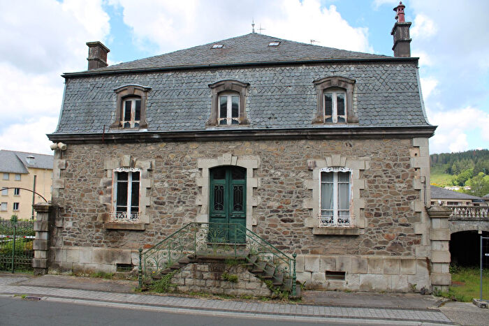 Maison à vendre - Riom-ès-Montagnes - 14 pièces - 9 chambres