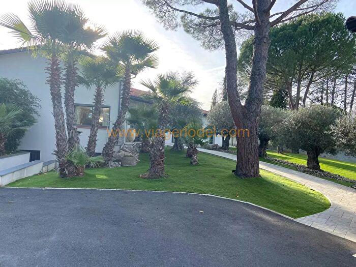 Maison à vendre - Albi, Le Lude, Bellevue - 5 pièces - 2 chambres