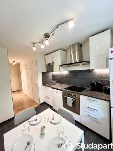 Les Terrasses-Axe Majeur-Lauterne, Cergy : Appartement 1 pièce à louer