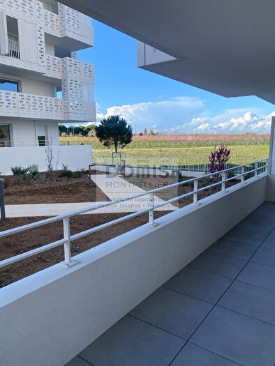 Appartement à louer - Castelnau-le-Lez, Volhe - 2 pièces - 1 chambre