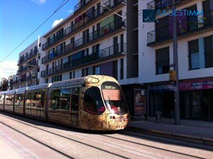 Appartement à louer - Montpellier - 1 pièce