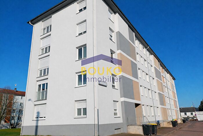 Dombasle-sur-Meurthe : Appartement 5 pièces à vendre