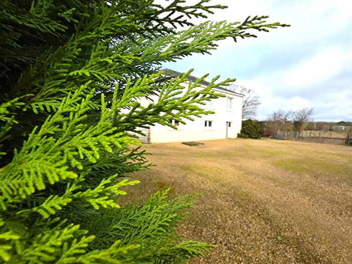 Maison à vendre - Dénezé-sous-le-Lude - 4 pièces - 2 chambres