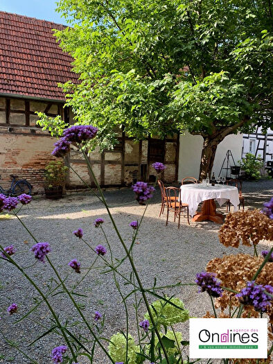 Appartement à louer - Kauffenheim - 2 pièces - 2 chambres