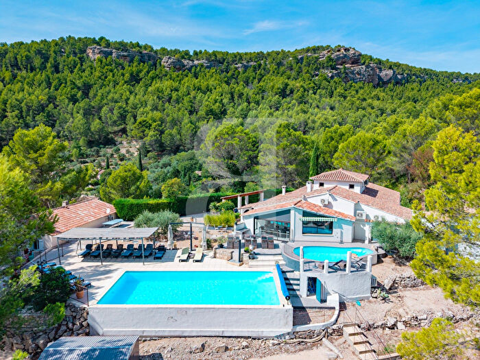 Maison à vendre - LIsle-sur-la-Sorgue, Centre-ville - 17 pièces - 14 chambres