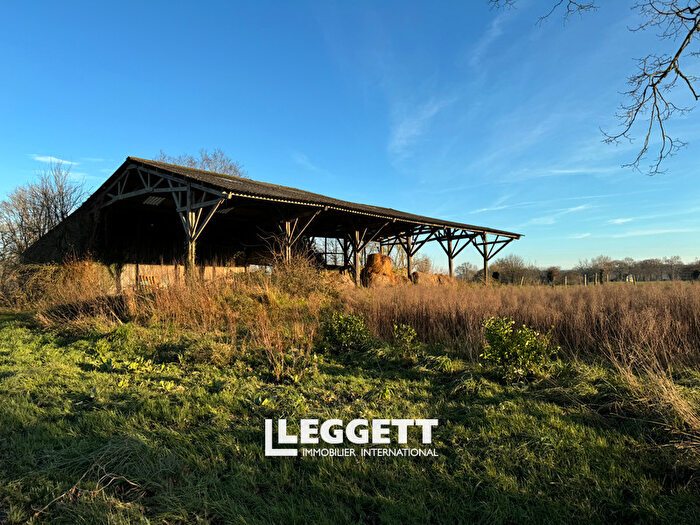Maison à vendre - Saint-Martin-sur-Oust
