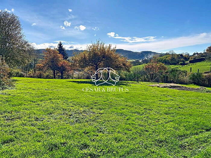 Maison à vendre - Cours-la-Ville - 6 pièces - 4 chambres