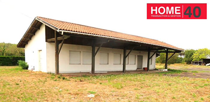 Maison à vendre - Sanguinet - 12 pièces