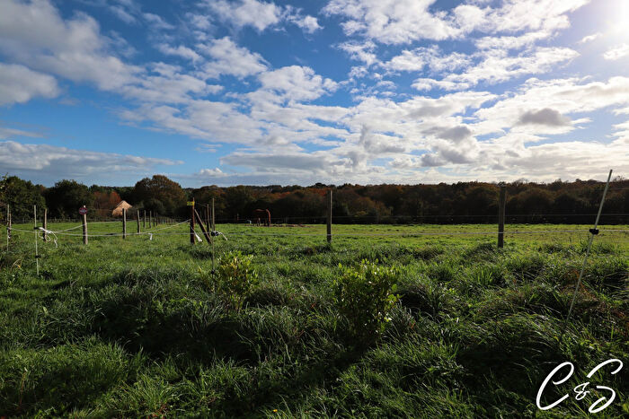 Maison à vendre - Pluguffan - 5 pièces - 3 chambres