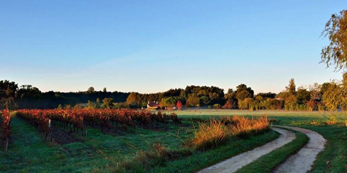 Maison à louer - Cubnezais - 4 pièces - 3 chambres