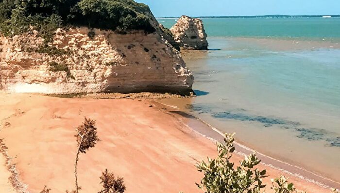 Maison à vendre - Saint-Georges-de-Didonne, Didonne, Boubes, Suzac - 2 pièces - 1 chambre