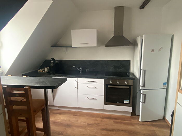 Appartement 3 pièces à louer - Schiltigheim, Brasserie de l'Espérance Heineken
