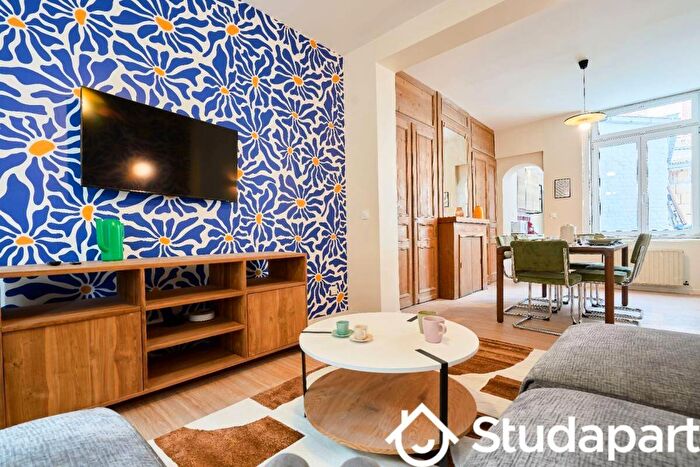 Appartement à louer - Saint Maurice-Pellevoisin, Lille - 1 pièce - 1 chambre