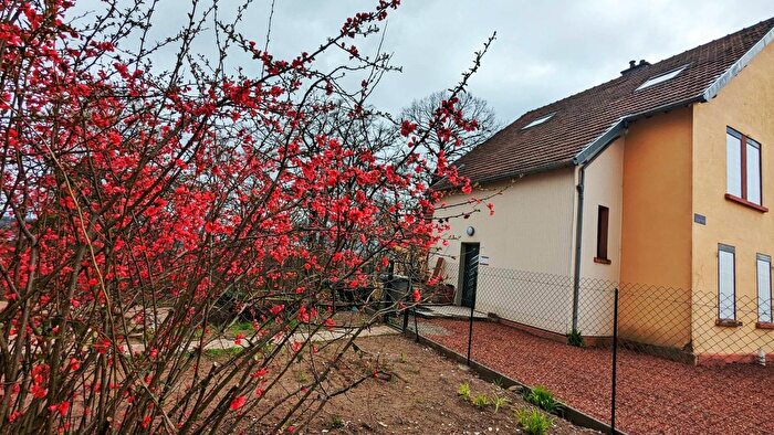 Maison à vendre - Freyming-Merlebach, Hochwald, Sainte-Fontaine, Reumaux - 3 pièces - 2 chambres