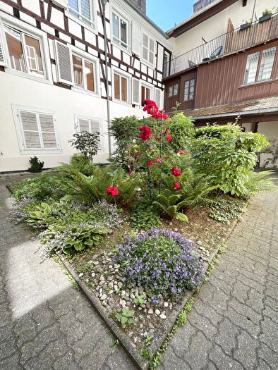 Strasbourg : Appartement 1 pièce à louer