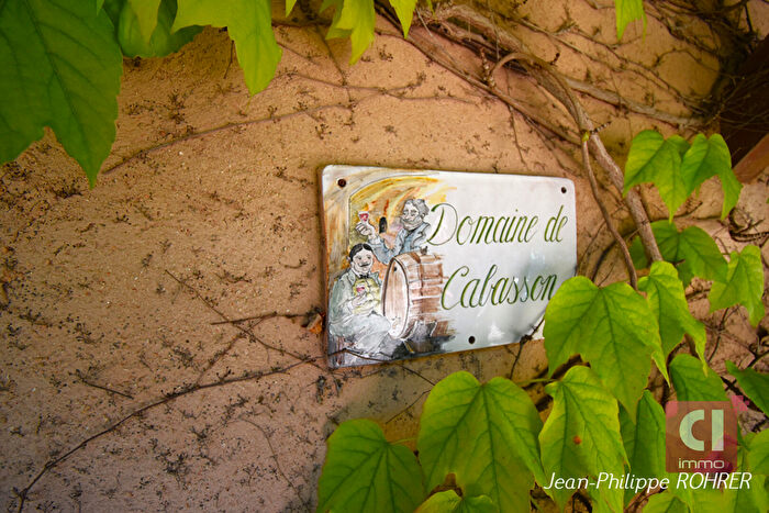 Maison 10 pièces à Besse-sur-Issole, à vendre
