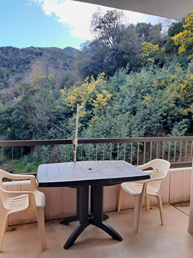 Appartement à vendre - Amélie-les-Bains-Palalda - 1 pièce