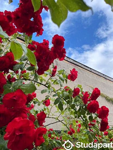 Appartement à louer - Clairmarais-Charles Arnould, Reims - 1 pièce - 5 chambres