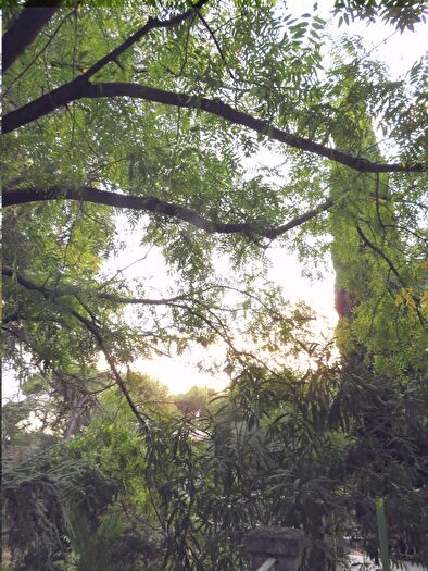Appartement à louer - La Gazelle, Nîmes - 1 pièce