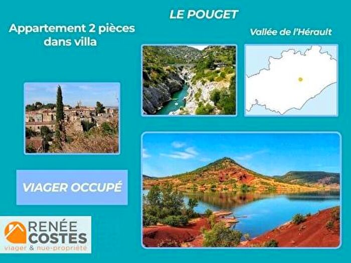Appartement à vendre - Le Pouget - 2 pièces - 1 chambre