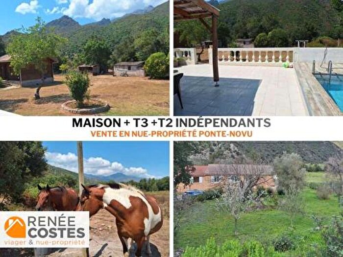 Maison 7 pièces à vendre à Castello-di-Rostino